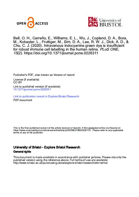 Pdf Intravenous Indocyanine Green Dye Is Insufficient For Robust