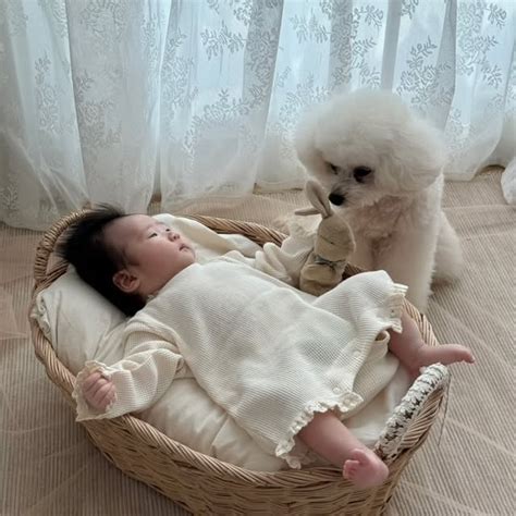 청룡띠아기와 애개육아 Myellie • Threads Say More