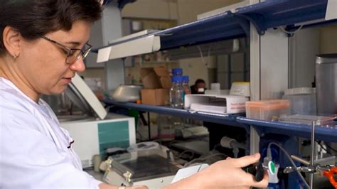 Spruce Based Nanoemulsion Russian Scientists Discover A Potential