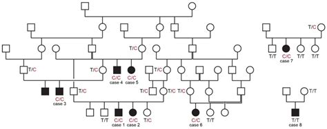Pcyt1a Missense Variant In Vizslas With Disproportionate Dwarfism