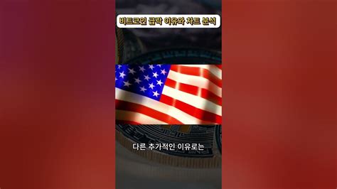 비트코인 급락 이유와 차트 분석 Youtube