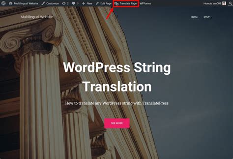 Wordpress String Translation Tutorial And Easiest Plugin For Any String