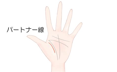生命線の見方｜特徴別に解説するビジュアル手相占い アリスの占い館