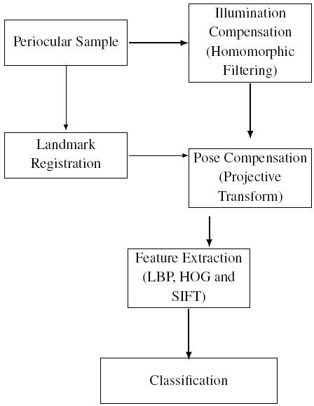 Workflow Diagram Of The Proposed Techniques To Compensate For Download Scientific Diagram