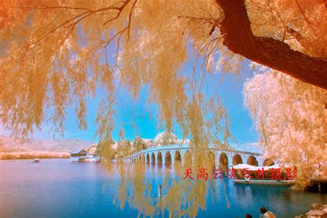 另外的视觉——颐和园昆明湖东岸（红外摄影）