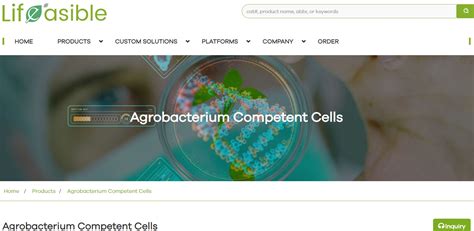 Hello Researchers I Need Agrobacterium Rhizogenes Strain For My Work