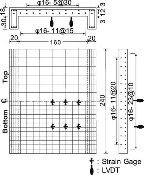 Details Of Specimen Unit Cm Download Scientific Diagram