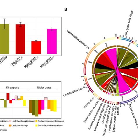 Patterns Of Relative Abundance Of Bacterial Communities Between Download Scientific Diagram