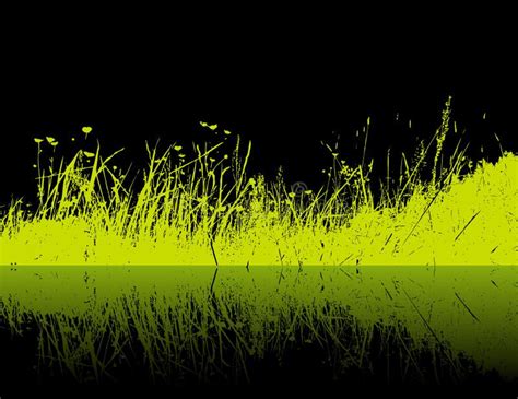 Green Grass On Black Background Vector Stock Vector Illustration Of