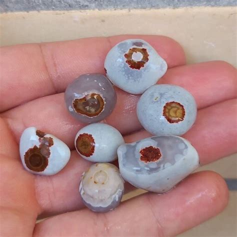 خرید و قیمت پک باباقوری چشم رنگی مناسب تراش صد درصد معدنی ترب