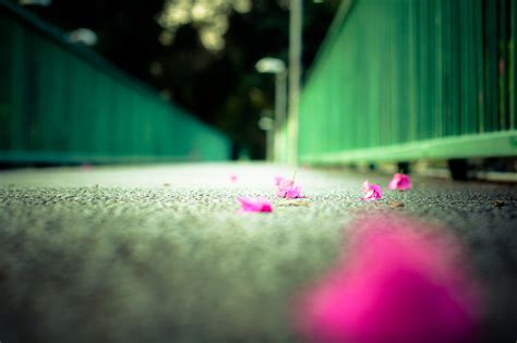 妻の浮気で子供のために再構築を諦めなかったが、妻のバイト先のビルに行くとあの声が なみだなみだの物語ちゃんねる