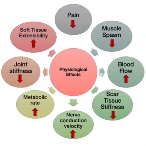 Ift Interferential Therapy Unit At Rs 9000 New Delhi Id 2852806790830