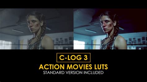 C Log3 Winter And Standard Luts Elements Ft 3d Lut And Arri Alexa Envato