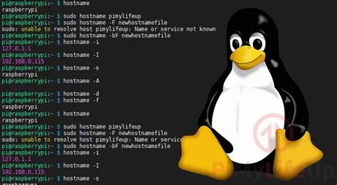 Learn How To Use The Hostname Command Linux Raspberry Pi Projects