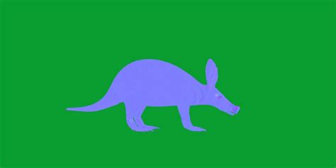 Aardvarks Flippednormals