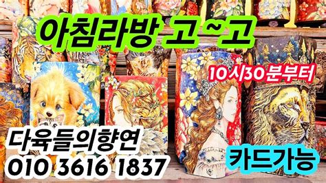 2517🤗다육들의향연 😍카드가능💥초신상명품화분들 명품오드리분기요미콩분들까지 대박이네요💥 Youtube