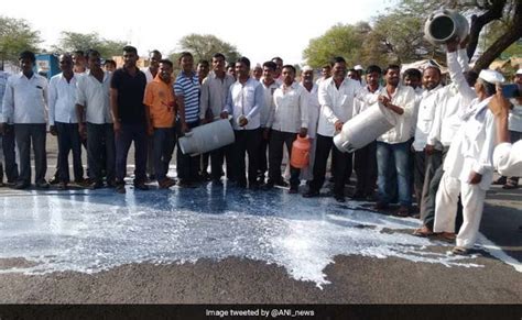 Milk Spilled Veggies Dumped After Maharashtra Farmers Begin Indefinite