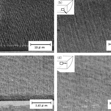 Microstructure At The Transition From Cellulardendritic To Absolutely Download Scientific
