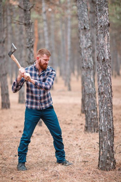 Un Bûcheron Avec Des Cheveux De Gingembre Et Beardstands Dans Les Bois