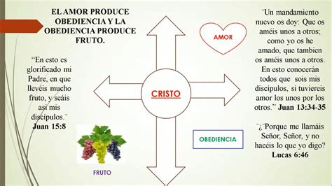 DISCIPULADO LA CRUZ DEL DISCIPULO YouTube