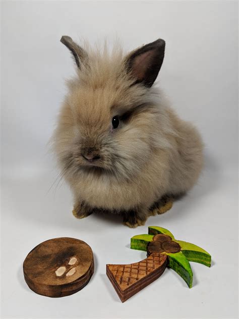 Dahlia Would Like To Share Her Favorite Treats With You Get A Free Set