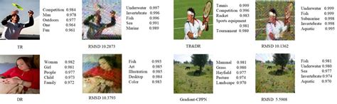 The Adversarial Examples Generated By Ftn With Different Fooling Images