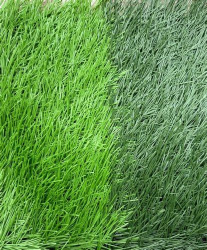 Cc Grass Pride Up 50 Mm Football Turf Grass At ₹ 70sq Ft Football Turf In Manjeri Id