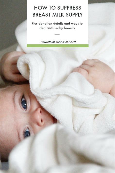 How To Suppress Breast Milk Supply The Mummy Toolbox