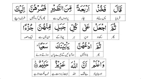 Tafseer Surah Al Baqarah Lesson40 Verses253 260 تفسير سورة البقرة Youtube