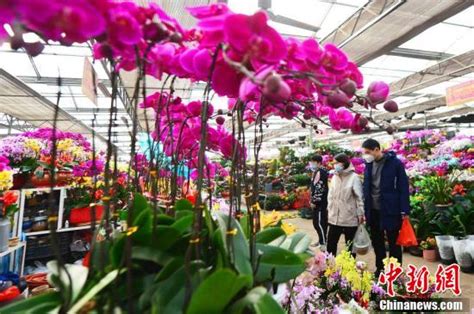 China Daily On Twitter Flower Markets In The Laoshan District Of