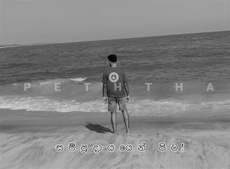 Ice Age 01 Sinhala Dubbed Full Movie ️🐿️ අයිස් ඒජ් 01 සිංහල හැඩකැවූ චිත්‍රපටය 🤍🍂 අයිස් ඒජ්