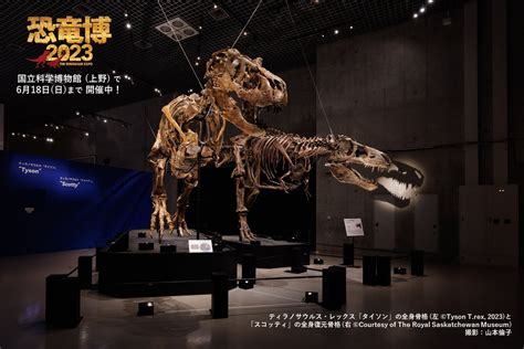 聖グロ副隊長 On Twitter Rt Kyoryuzukan 絵が主役の 恐竜図鑑展 を楽しんだ後は 化石が主役の恐竜博へ