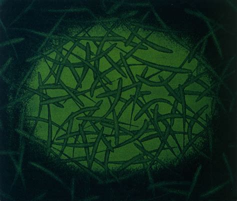 Etching Aquatint Kimseungyeonprint