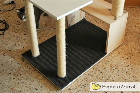 Rascador Casero Para Gatos Pasos