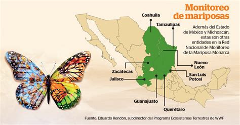 A Salvar A La Mariposa Monarca Polinizador Vital Reporte Indigo