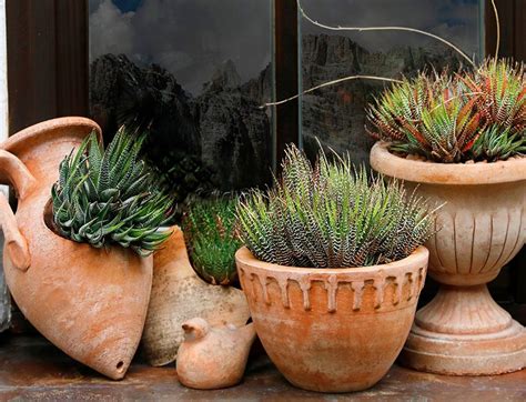 Déco terracotta 5 astuces pour adopter cette tendance