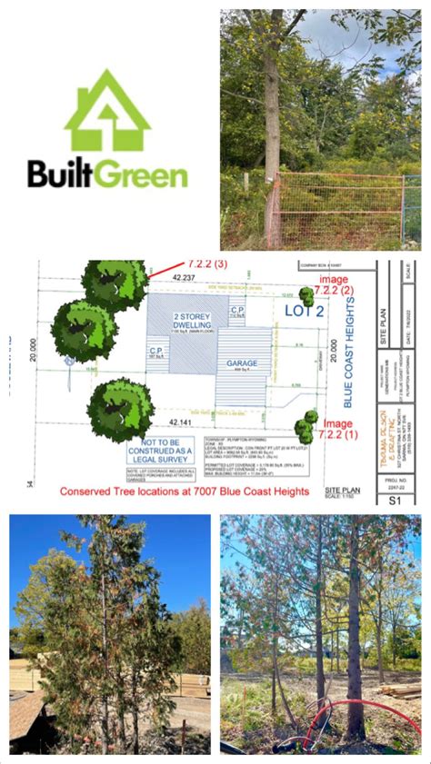 Generations Master Builder On Linkedin Trees Conservation Environment