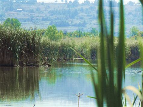 Asmir Karic Asko1 Photographer Profile