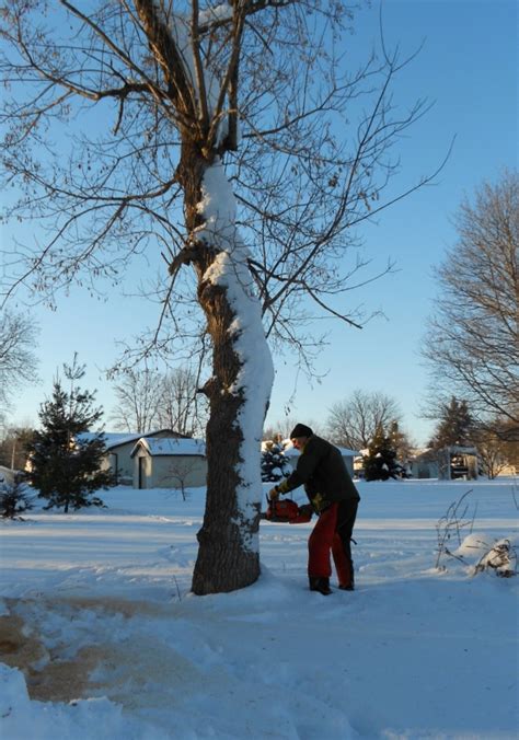 What A View My Brawny Lumberjack Man