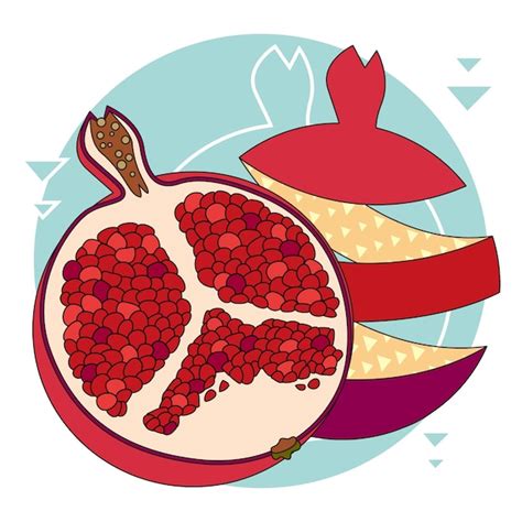 Premium Vector Vector Half Cut Fruit Pomegranate