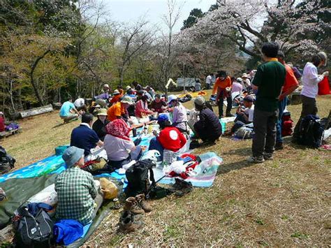 山行報告 お花見山行高尾山一丁平 四季山岳会