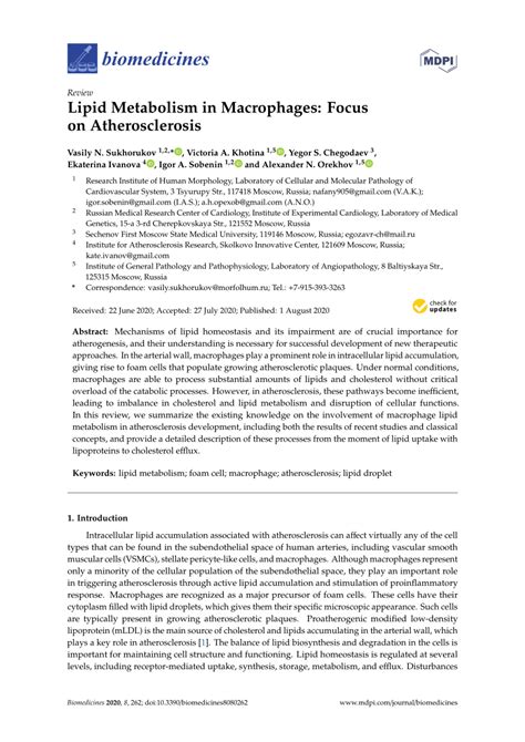 PDF Lipid Metabolism In Macrophages Focus On Atherosclerosis