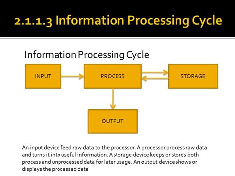 Information Processing Model
