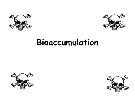 Ppt Bioaccumulation Powerpoint Presentation Free Download Id2019225