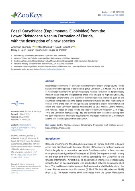 Pdf Fossil Carychiidae Eupulmonata Ellobioidea From The Lower Pleistocene Nashua Formation