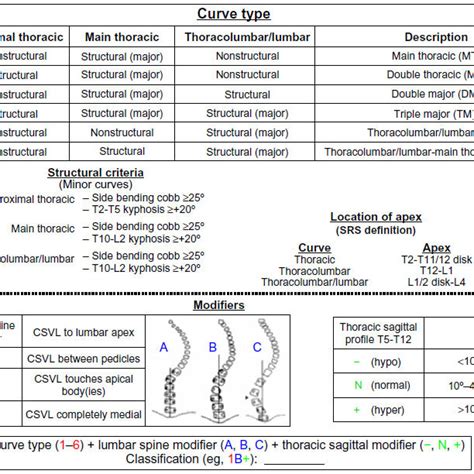 Determination Of L4 Tilt Direction In Lenke 1a Curves Note Adapted