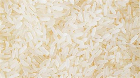 Arroz Y Atún Para El Gato Una Receta Sencilla Rápida Y Deliciosa Para