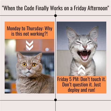 Appunik On Linkedin Developer Week Developer Developerhumor