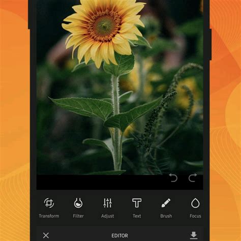 Simple Gallery Pro How To Add Text R SimpleMobileTools
