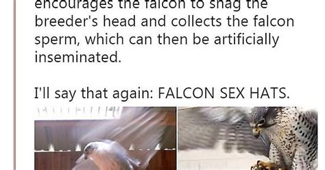 The More You Know Album On Imgur